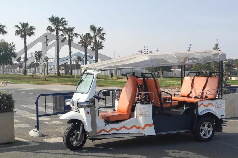 Valencia: Tuk Tuk City Tour - The Sum Up