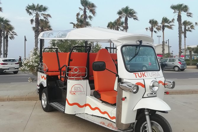 Valencia: Tuk Tuk Modern Tour - The Guide and the Ride