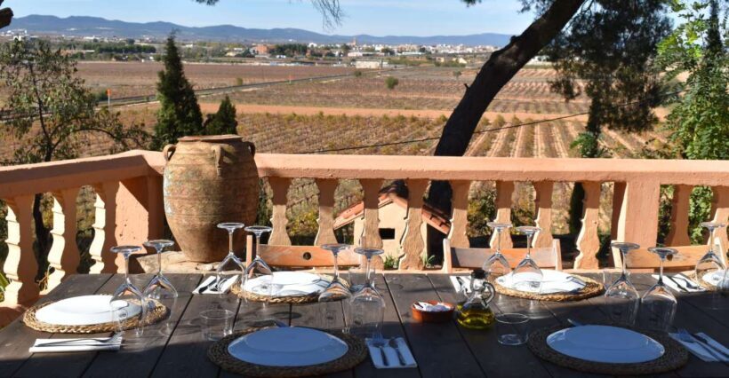 Valencia: Utiel-Requena Cave & Winery Day Trip with Tasting - An Introduction to the Experience