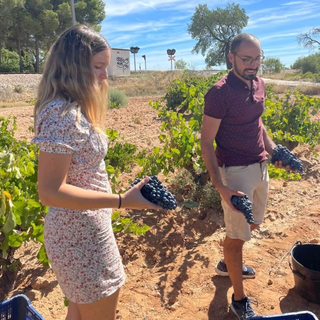 Valencia: Utiel-Requena Cave & Winery Day Trip with Tasting - Itinerary Breakdown: What You’ll Experience