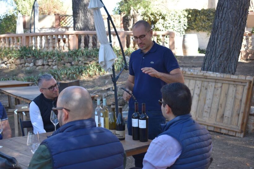 Valencia: Utiel-Requena Cave & Winery Day Trip with Tasting - Whats Included and What to Keep in Mind