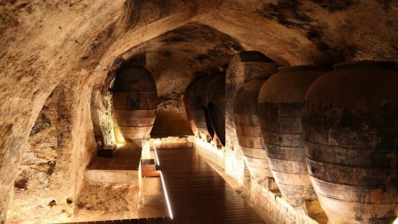 Valencia: Utiel-Requena Cave & Winery Day Trip with Tasting - Is It Good Value?