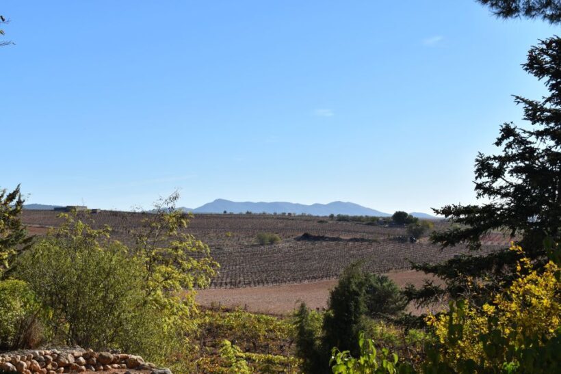 Valencia: Utiel-Requena Cave & Winery Day Trip with Tasting - FAQs: Practical Questions Answered
