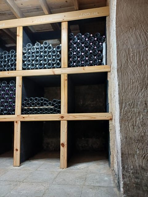 Valencia: Vineyard Tour with Local Wine Tasting & Appetizer - Who Should Consider This Tour?