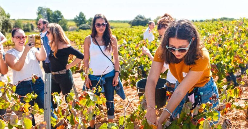 Valencia: Winery Visit with Vineyard Tour & Wine Tasting - Exploring the Details of the Valencia Winery Tour