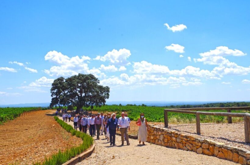 Valencia: Winery Visit with Vineyard Tour & Wine Tasting - FAQs