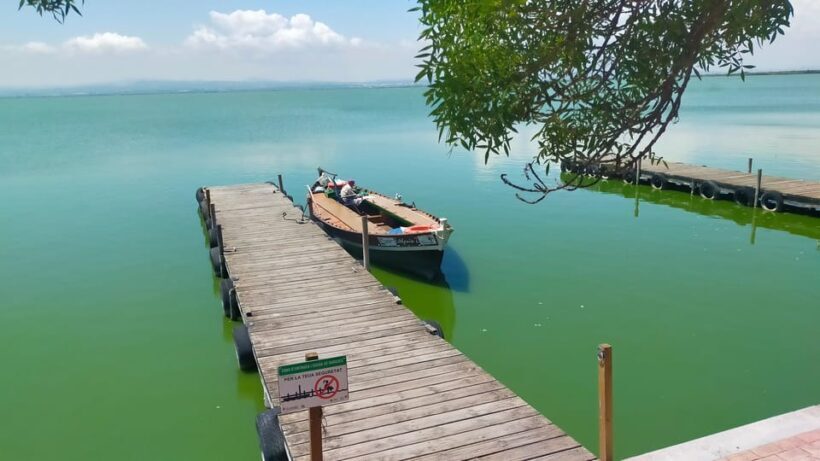 Valencia's Albufera, cycling guided tour - Practical Tips for Participants