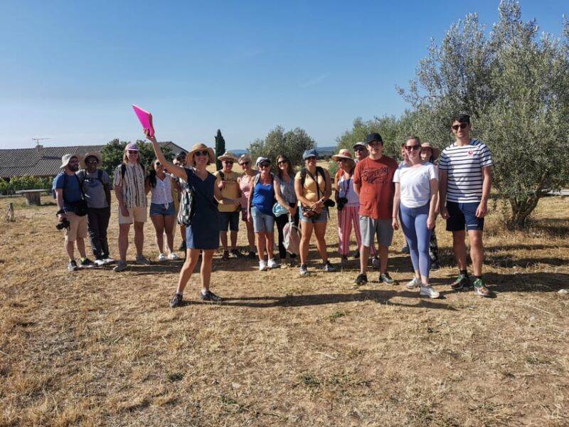 Valensole : Visit of a winery and lavender farm - Practical Tips for Visitors