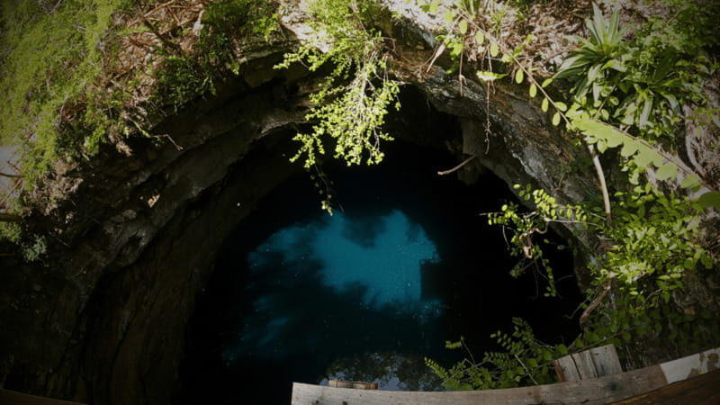 Valladolid: Chichén Itzá + 2 Cenotes Shared Transportation - The Sum Up
