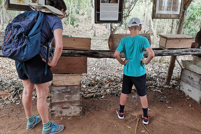 Valladolid Mayan Bees Tour with Lunch or breakfast and Honey Tasting - The Value of the Experience