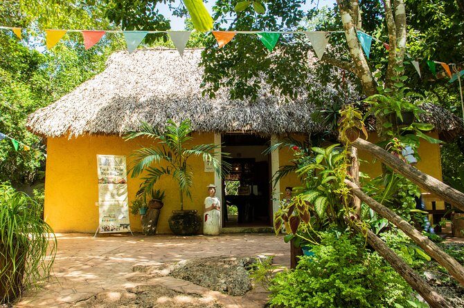Valladolid Mayan Bees Tour with Lunch or breakfast and Honey Tasting - The Guide and Overall Atmosphere