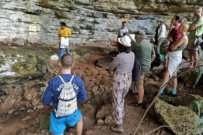 Valladolid Mayan Bees Tour with Lunch or breakfast and Honey Tasting - Who Will Love This Tour?