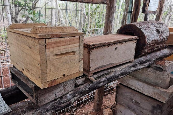 Valladolid Mayan Bees Tour with Lunch or breakfast and Honey Tasting - Final Thoughts