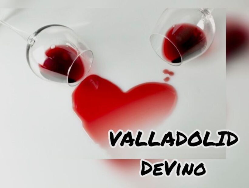 Valladolid: Private Guided Tour with Tapas and Wine Tasting - FAQs