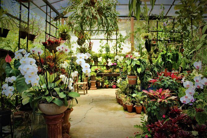 Vallarta Botanical Garden and Tequila Tasting from Puerto Vallarta - Key Points