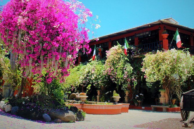 Vallarta Botanical Garden and Tequila Tasting from Puerto Vallarta - Who Should Consider This Tour?