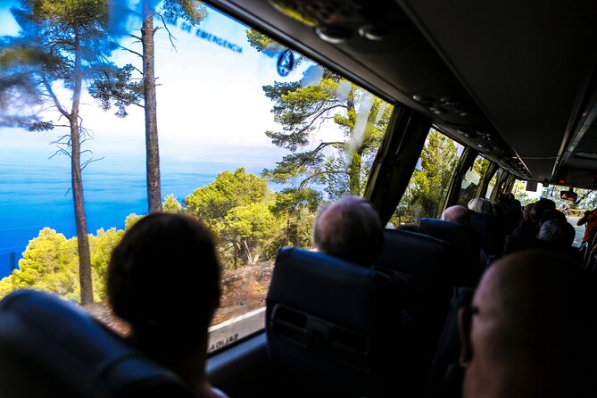 Valldemosa and Valley of Soller Tour in Mallorca - Traveler Feedback and Reviews