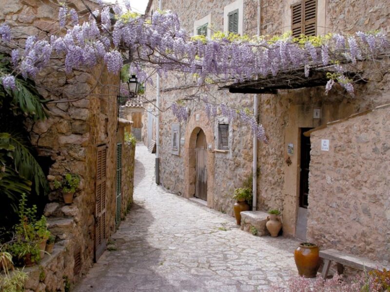 Valldemossa: Discover Valldemossa with a transfer from Palma - Key Points