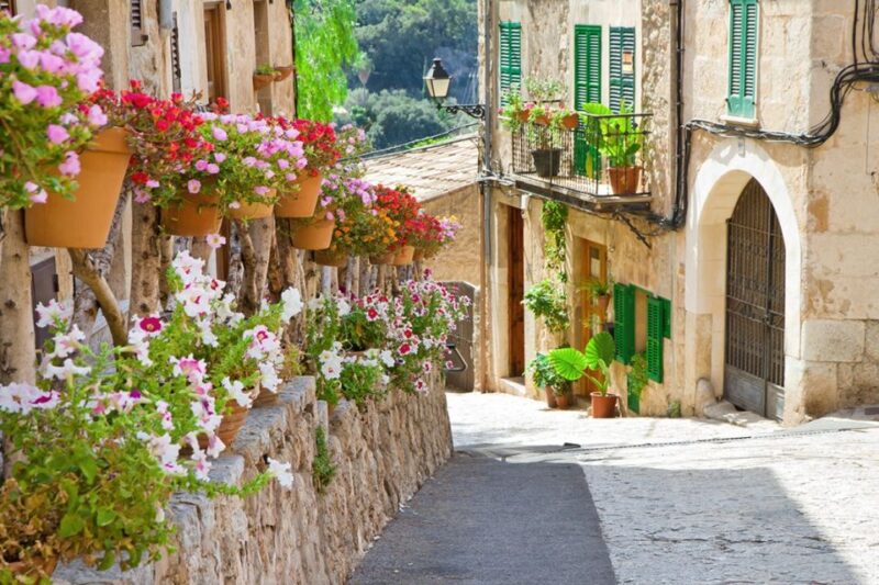 Valldemossa: Discover Valldemossa with a transfer from Palma - Who Should Consider This Tour?