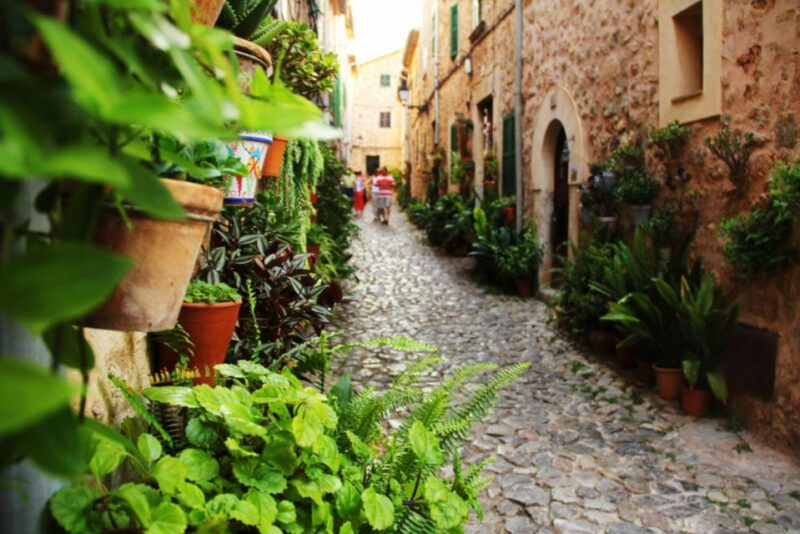 Valldemossa: Discover Valldemossa with a transfer from Palma - The Sum Up