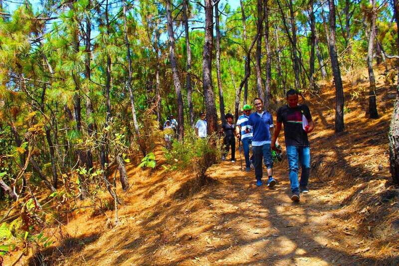 Valle de Bravo: Forest Hiking Adventure - Who Will Love This Experience?