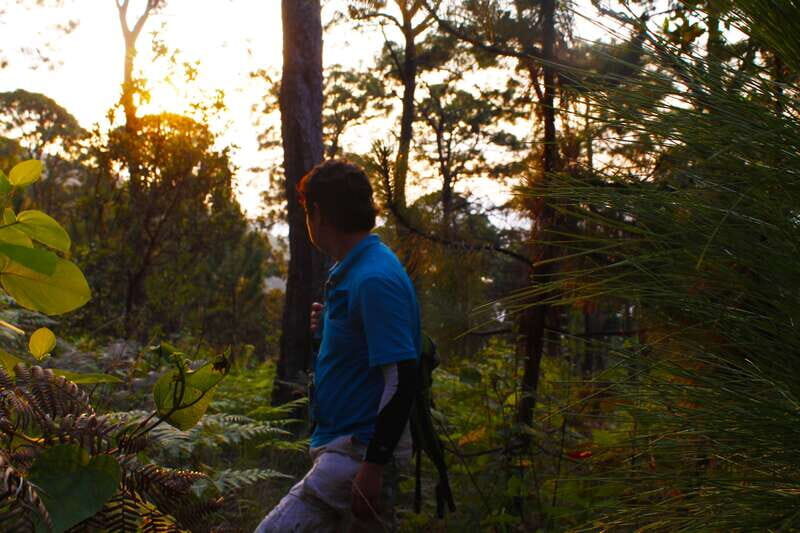 Valle de Bravo: Magical night at the forest - Key Points