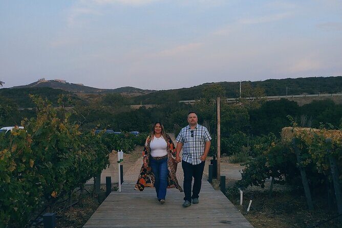 "Valle de Guadalupe", Live, Enjoy and Meet the Golden Valley - FAQ