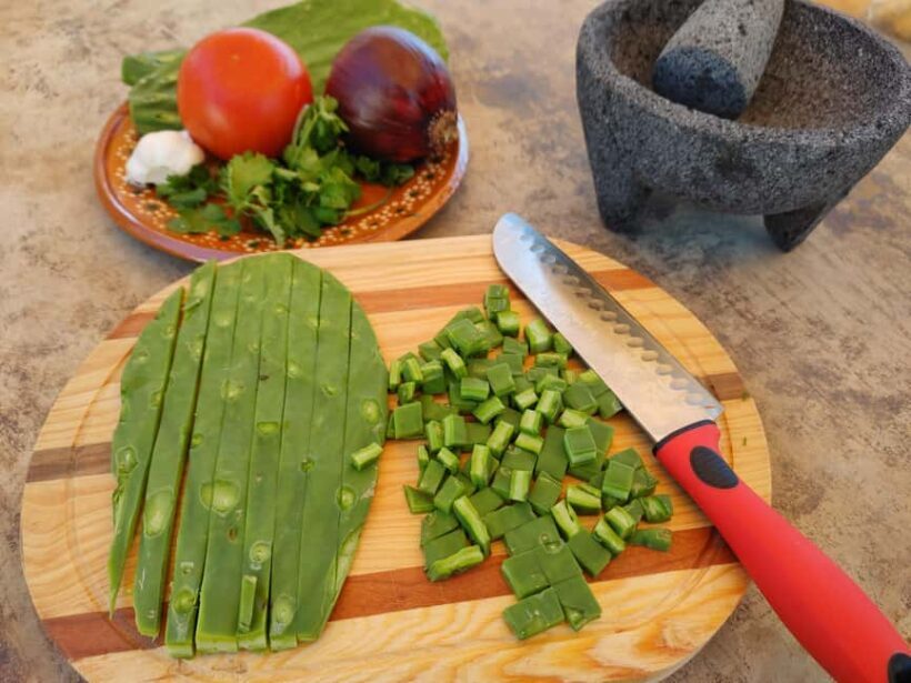 Valle de Guadalupe: Mexican Cooking at Hacienda Eco-Domes - The Sum Up