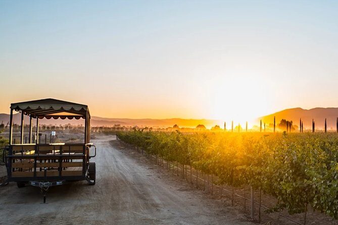Valle de Guadalupe Premium Wine & Vineyard Wagon Tour - An Overview of the Experience