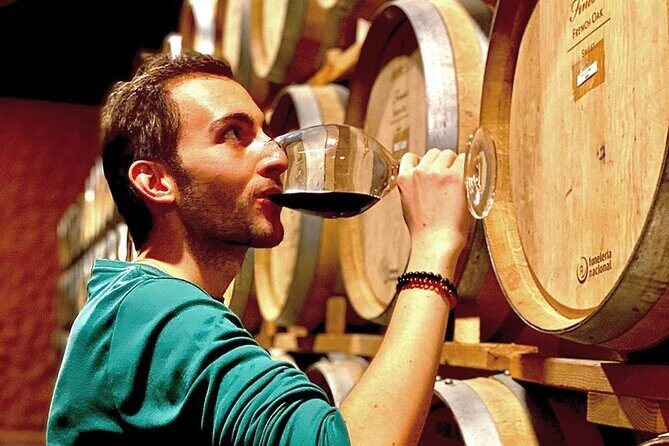 Valle de Guadalupe Premium Wine & Vineyard Wagon Tour - Analyzing the Value