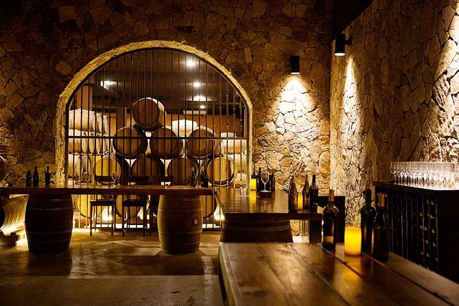 Valle de Guadalupe Premium Wine & Vineyard Wagon Tour - Who Will Appreciate This Tour?