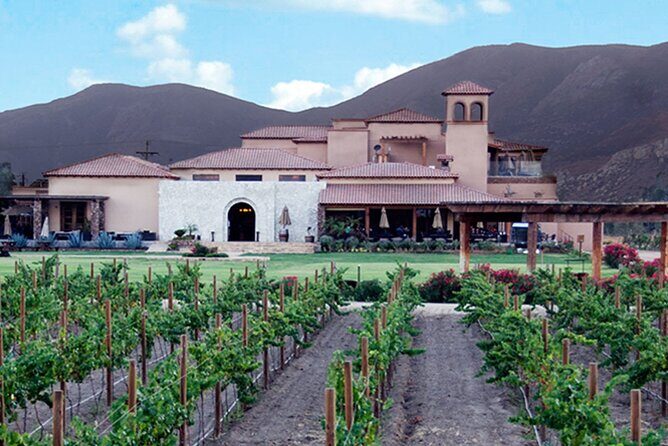 Valle de Guadalupe Premium Wine & Vineyard Wagon Tour - FAQs