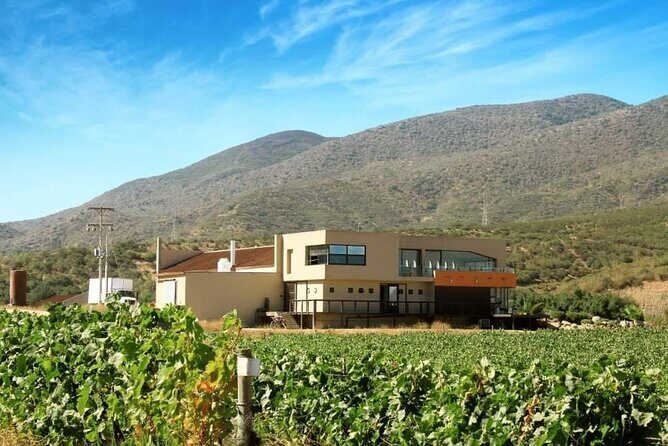 Valle de Guadalupe Private Wine Tour - Key Points
