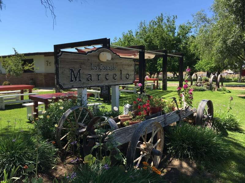 Valle de Guadalupe: Wine & Cheese Tour - Key Points