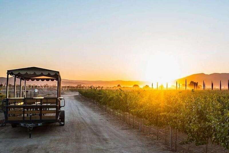 Valle de Guadalupe: Wine Tasting and Wagon Tour - Exploring the Valle de Guadalupe: An Authentic Wine Journey