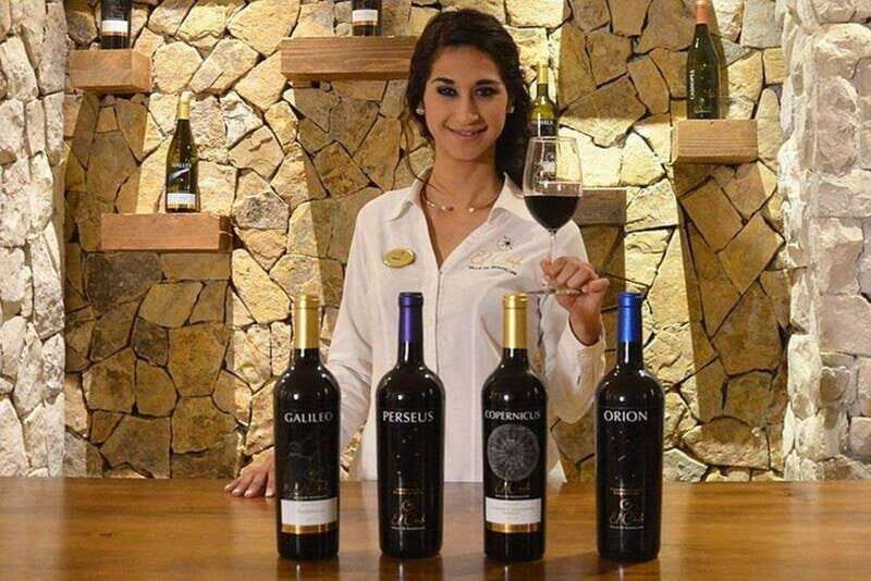 Valle de Guadalupe: Wine Tasting and Wagon Tour - The Experience from a Traveler’s Perspective