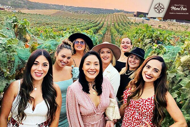 Valle de Guadalupe winery and brewery tours - FAQ