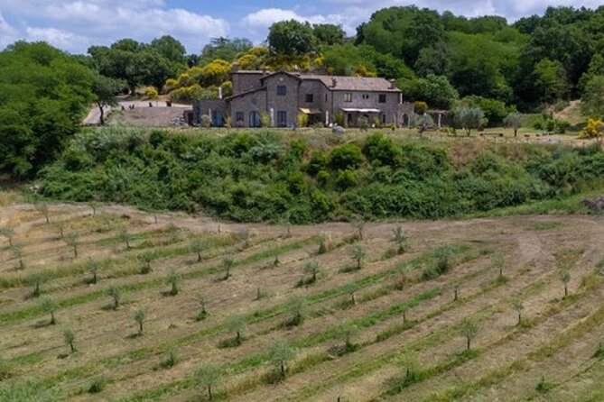 Valle del Lago eBike Tour with Food & Wine Tasting Experience - Price and Value