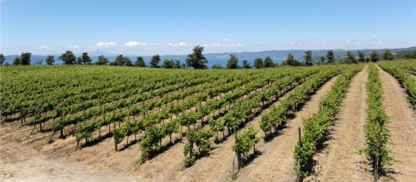 Valle del Lago: eBike tour with Food&Wine tasting experience - Key Points
