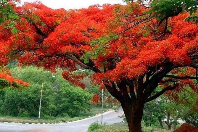 Valle Taino Tropical Park and plantation in Puerto Plata - Key Points