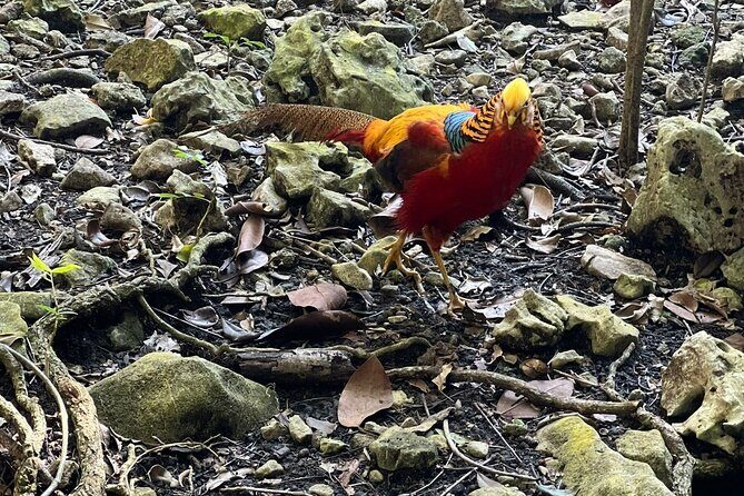 Valle Taino Tropical Park and plantation in Puerto Plata - Practical Details That Matter