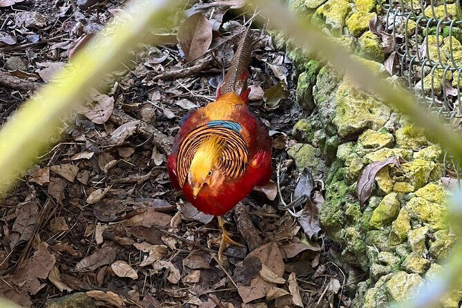 Valle Taino Tropical Park and plantation in Puerto Plata - Authenticity and Balance