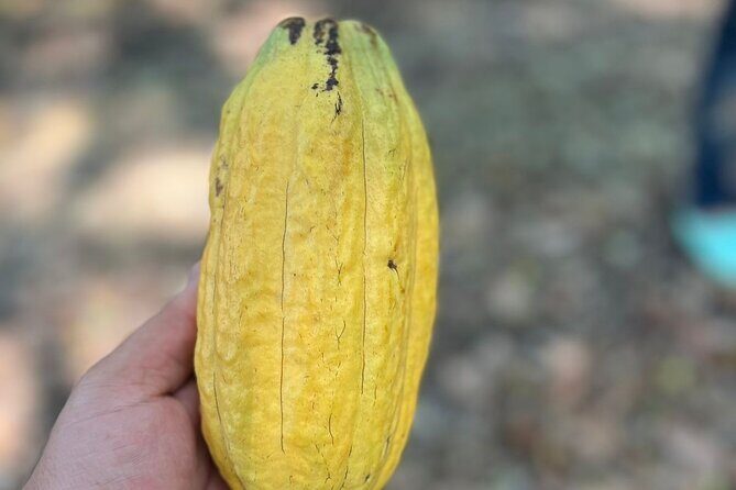 Valle Taino Tropical Park and plantation in Puerto Plata - The Sum Up