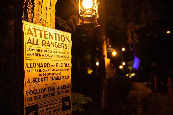 Vallea Lumina Multimedia Evening Experience - Multimedia Effects and Storytelling