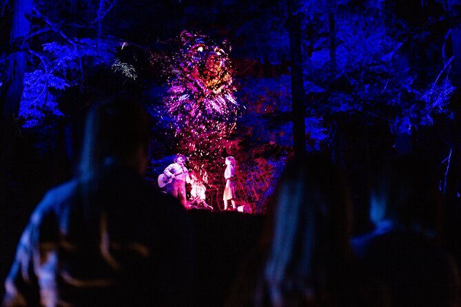Vallea Lumina Multimedia Evening Experience - Authenticity and Engagement