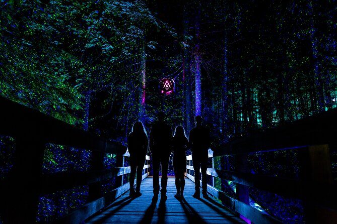 Vallea Lumina Multimedia Evening Experience - Tips for Visitors