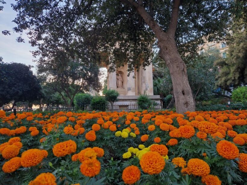 Valletta: City Walking Tour in a Small Group - What You Can Expect During the Tour