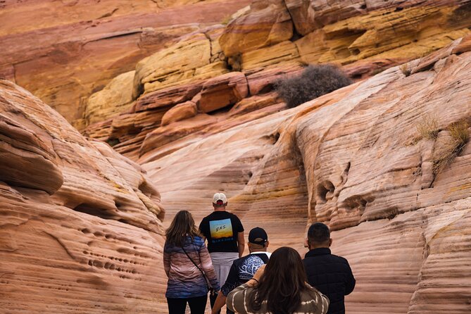 Valley of Fire Sunset Tour From Las Vegas - Customer Reviews and Experiences
