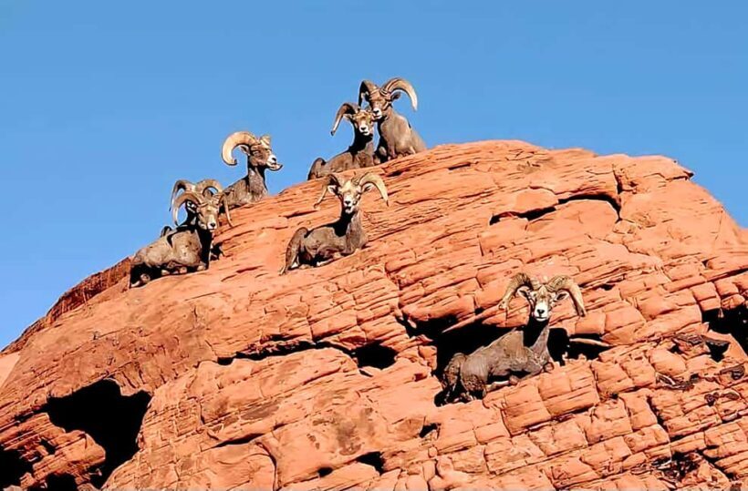 Valley of Fire - Who Is This Tour For?
