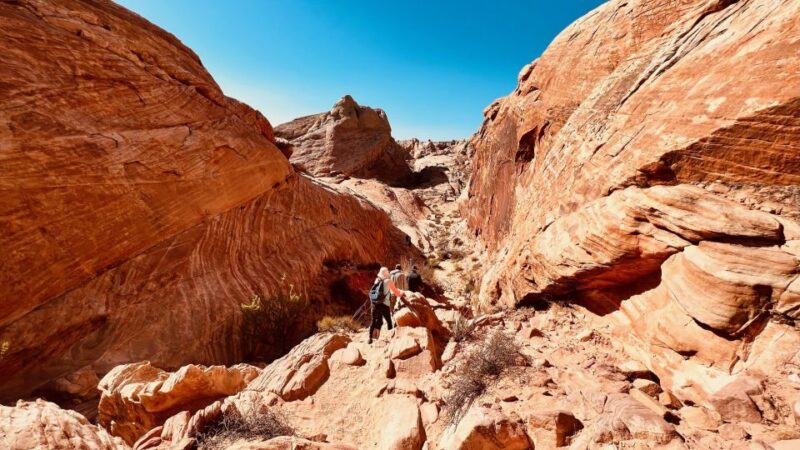 Valley of Fire VIP Small Group Tour From Las Vegas - Valuing the Experience